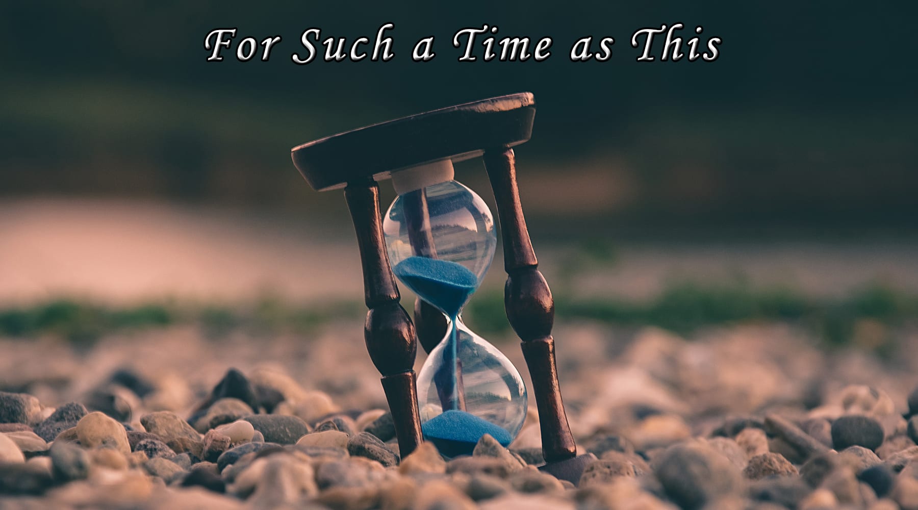 For Such a Time as This ~ Why Me? Why This? Why Now? | Nancy Lucenay