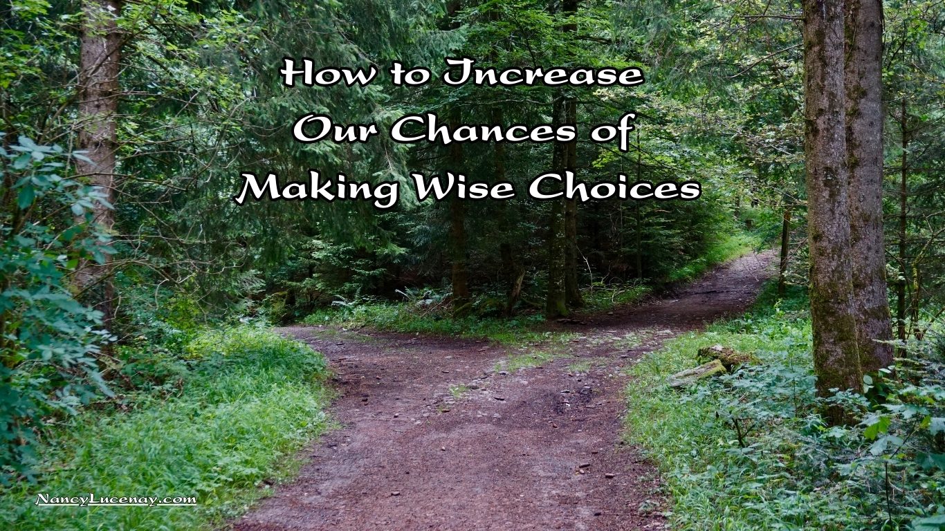 How to Increase Our Chances of Making Wise Choices | Nancy Lucenay